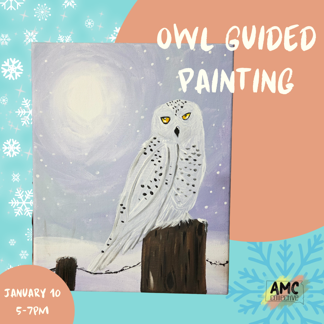 Guided Painting Class – Snowy Owl – AMC Collective